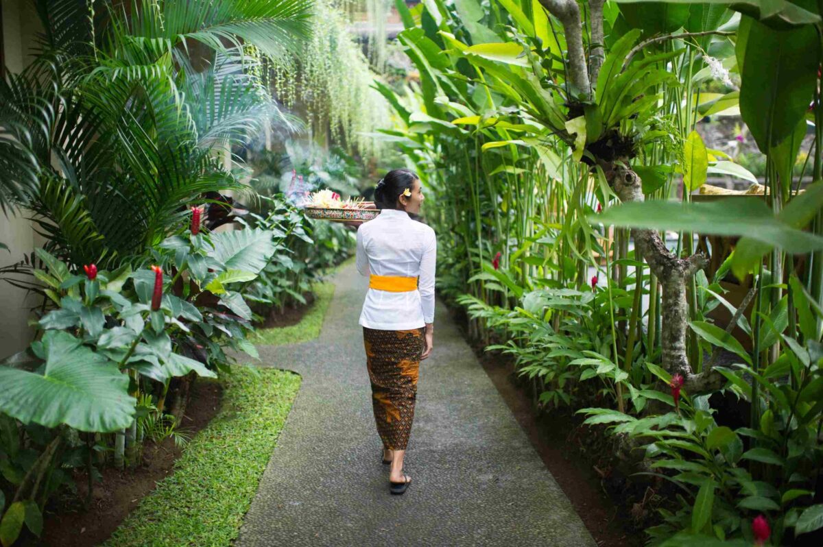 Ubud Healing Package - Official Website